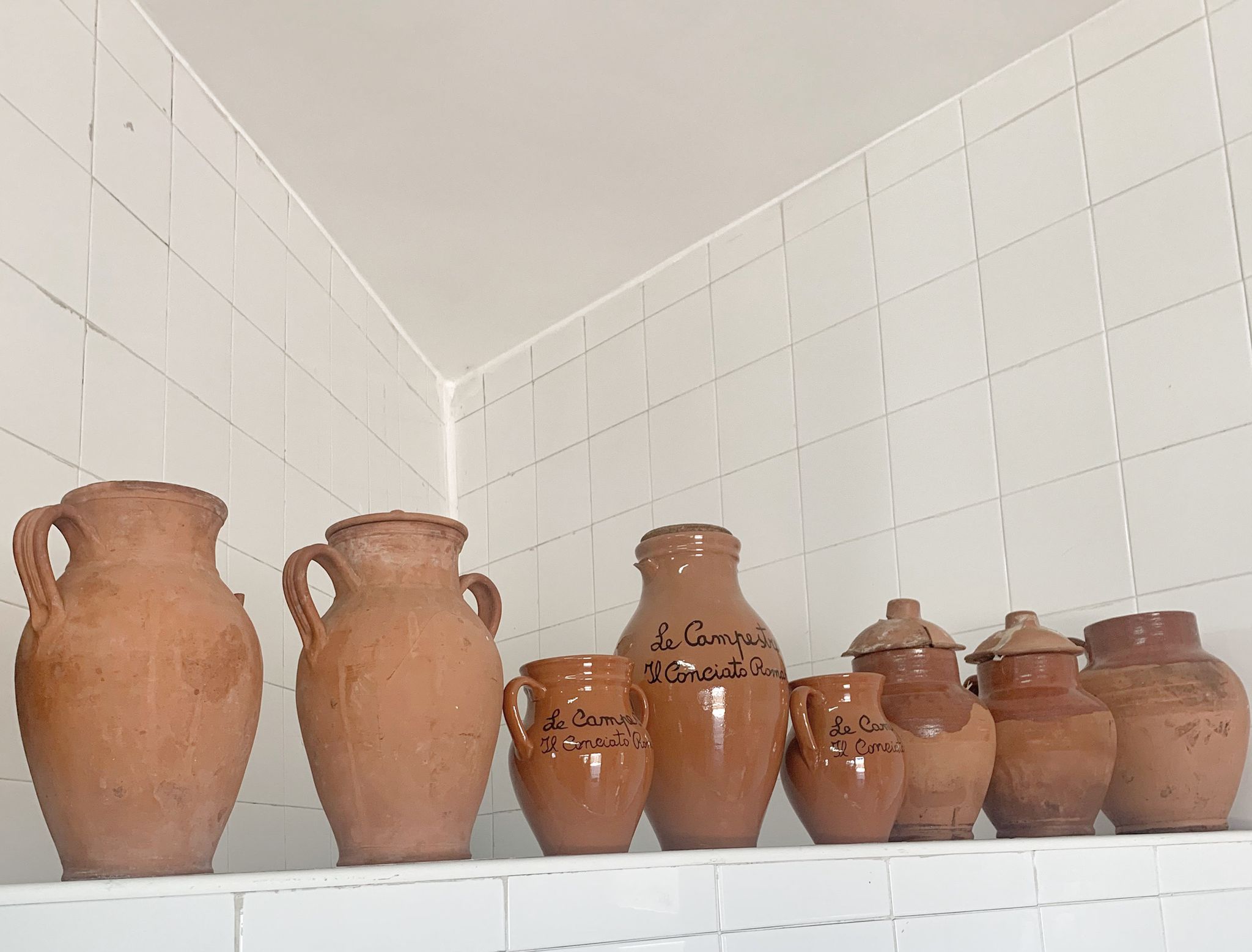 Il conciato romano, la quercia e gli asinelli. - Cas'è Charming House a ...